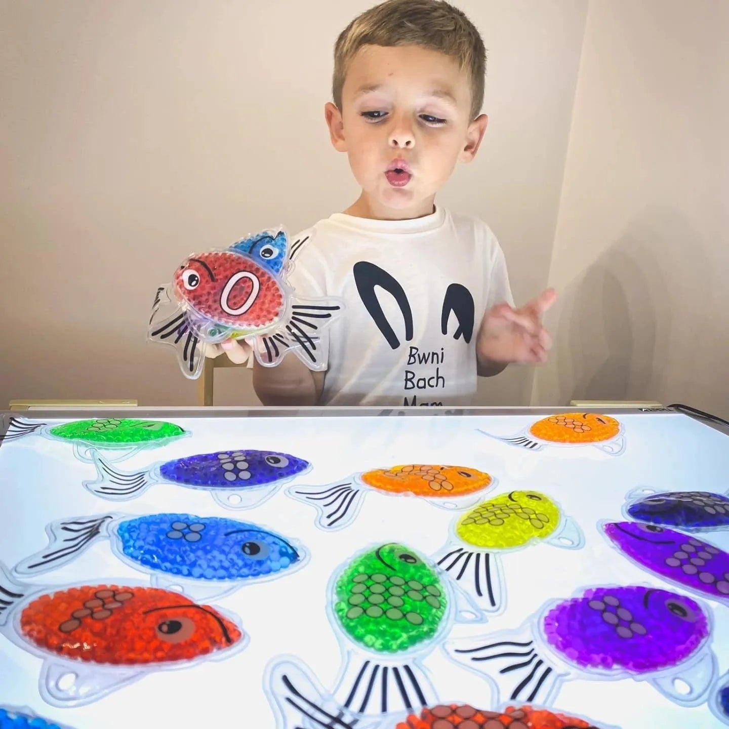 Sensory Light boxes and resources,Light Box Resources,Light Panel
